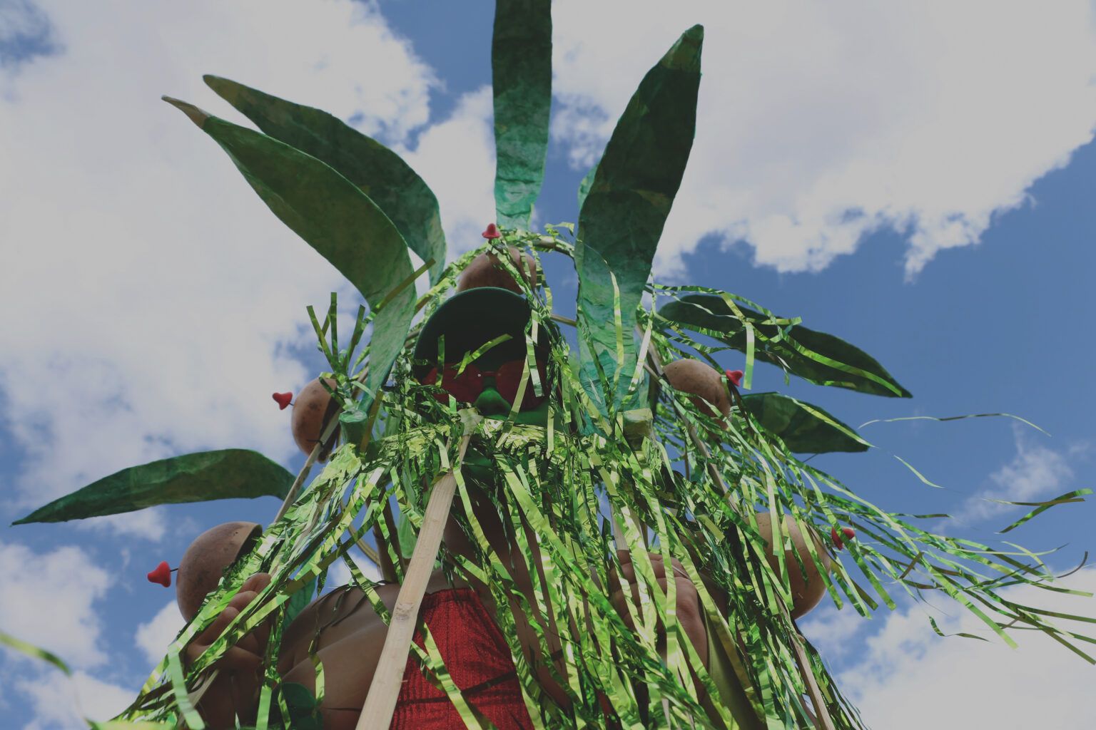 Deep Cuts, Chemicals, and Climate: an Interview with Stacy Alaimo on ...